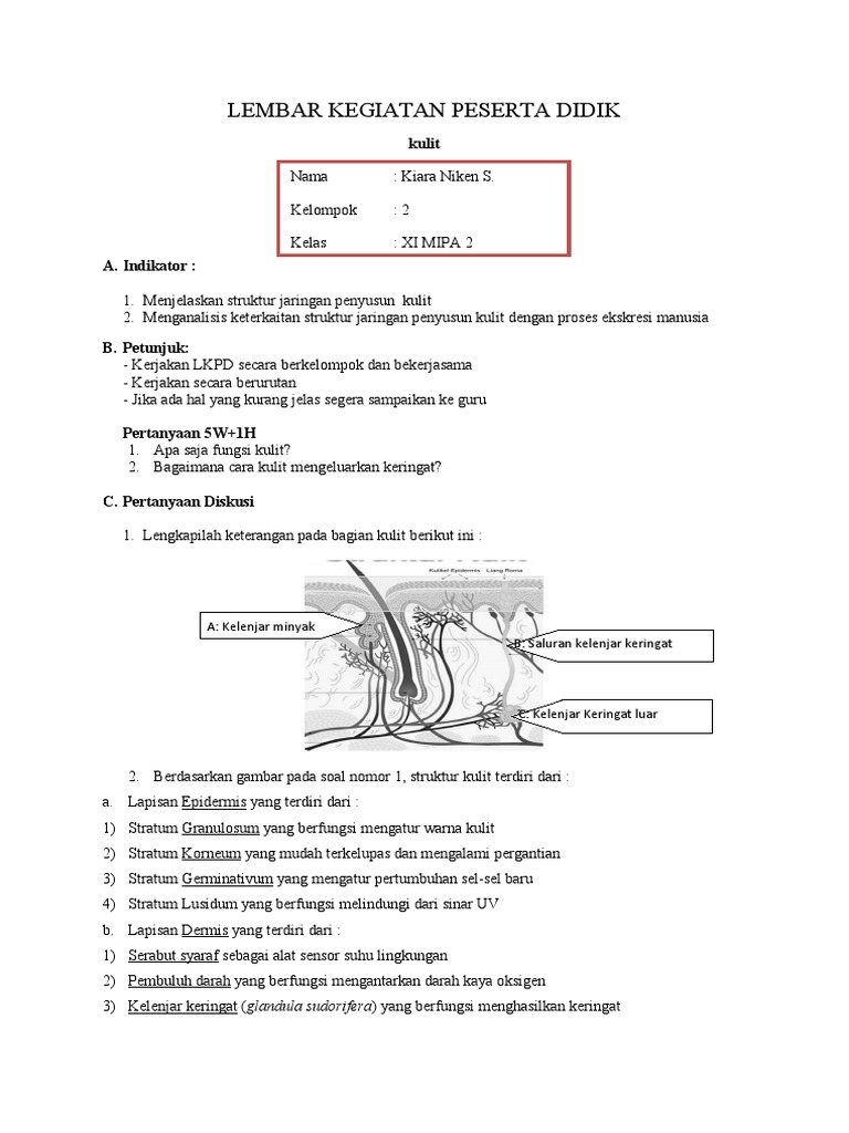 LKPD Kulit | PDF