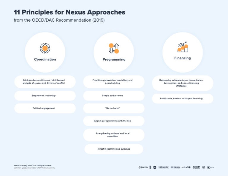 11 Principles For Nexus Approaches | PDF