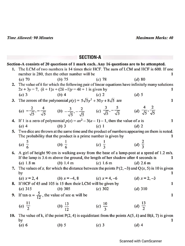 Maths Standard Final Practice Paper | PDF