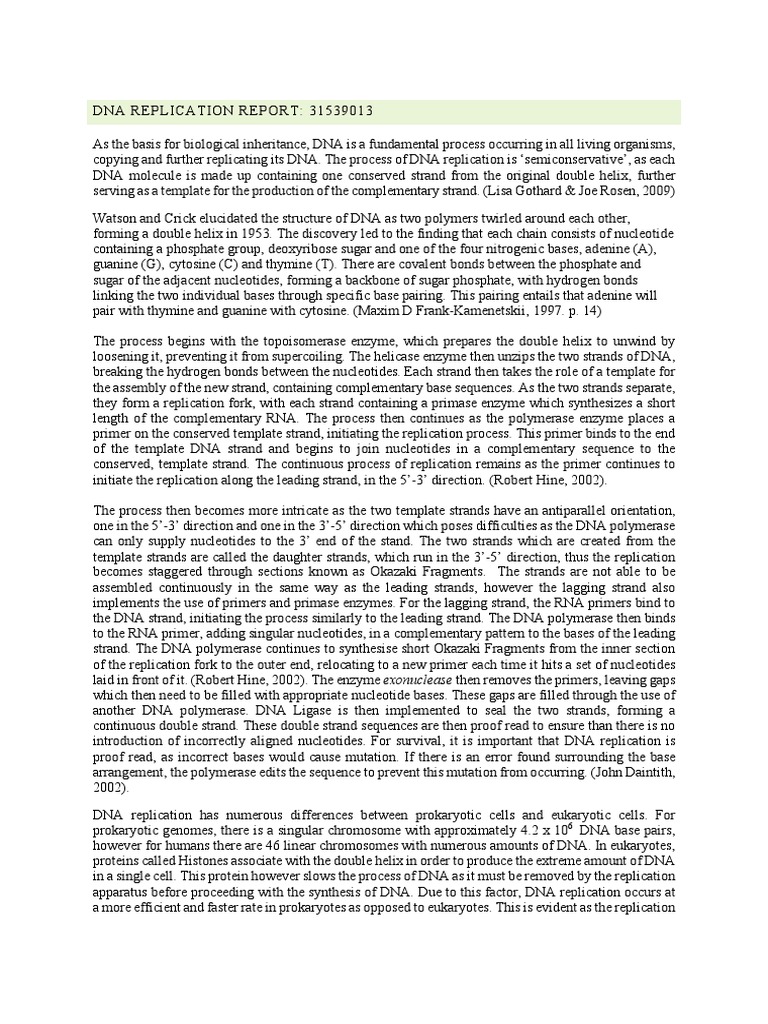 DNA Replication Report | PDF | Dna Replication | Dna