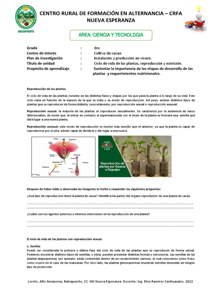 Reproducción de Plantas para Niños | PDF | Semilla | Flores