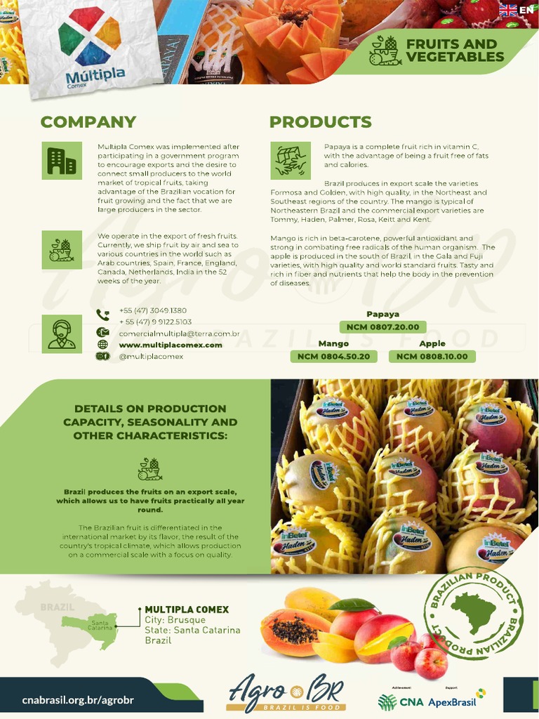 Layout Do Comex BR | PDF