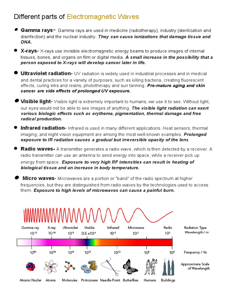 Parts of Electromagnetic Waves Explained | PDF