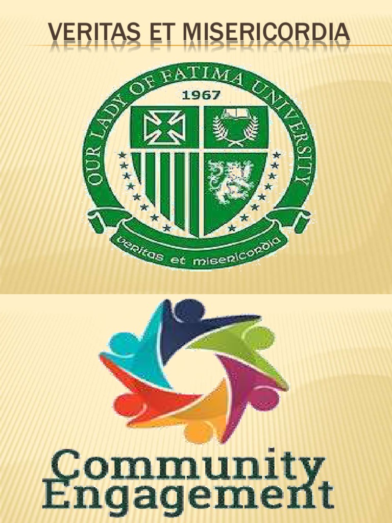 Principles of Community Engagement | PDF | Community | Public Participation