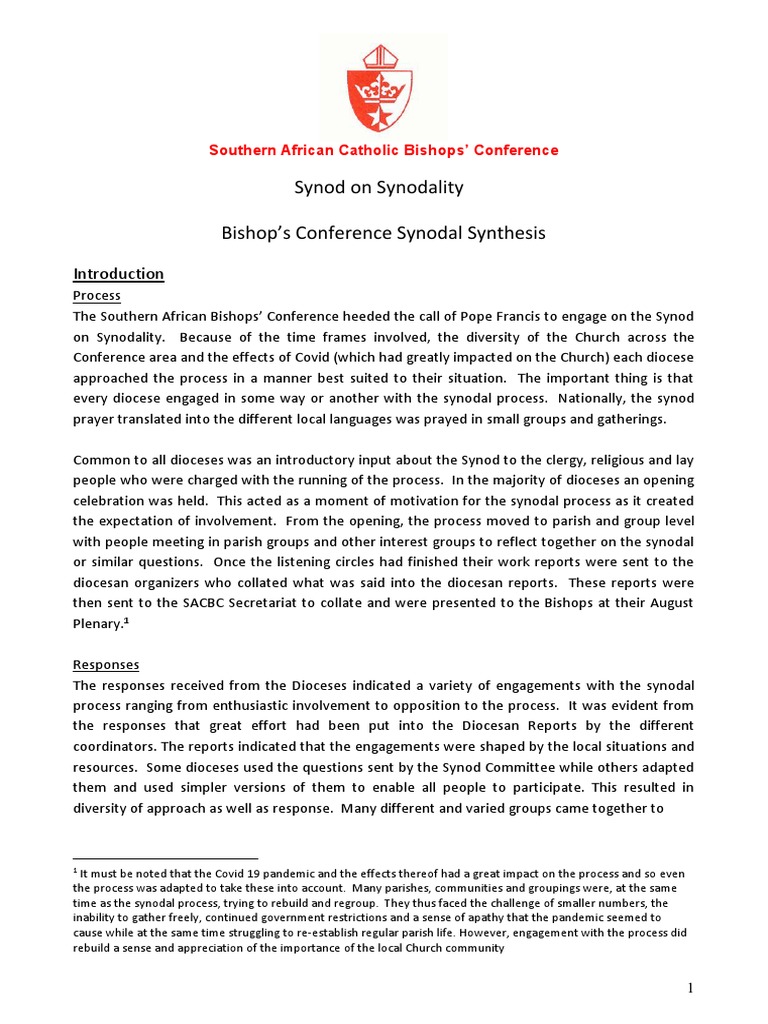 Synod On Synodality - National Synthesis of South Africa | PDF | Deacon ...