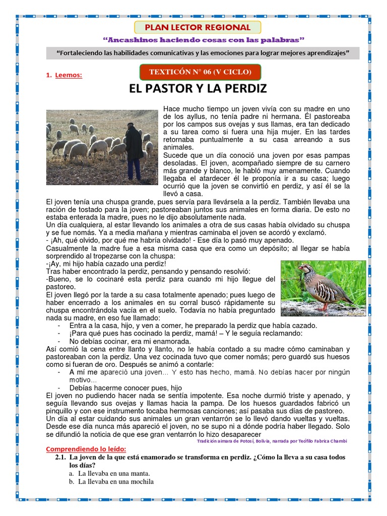 Texticón 6 - V Ciclo (Rev.) | PDF
