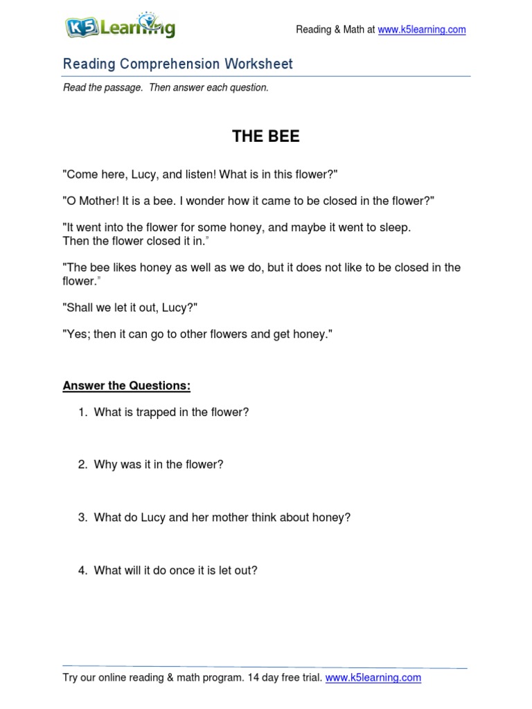 The Bee: Reading Comprehension Worksheet | PDF