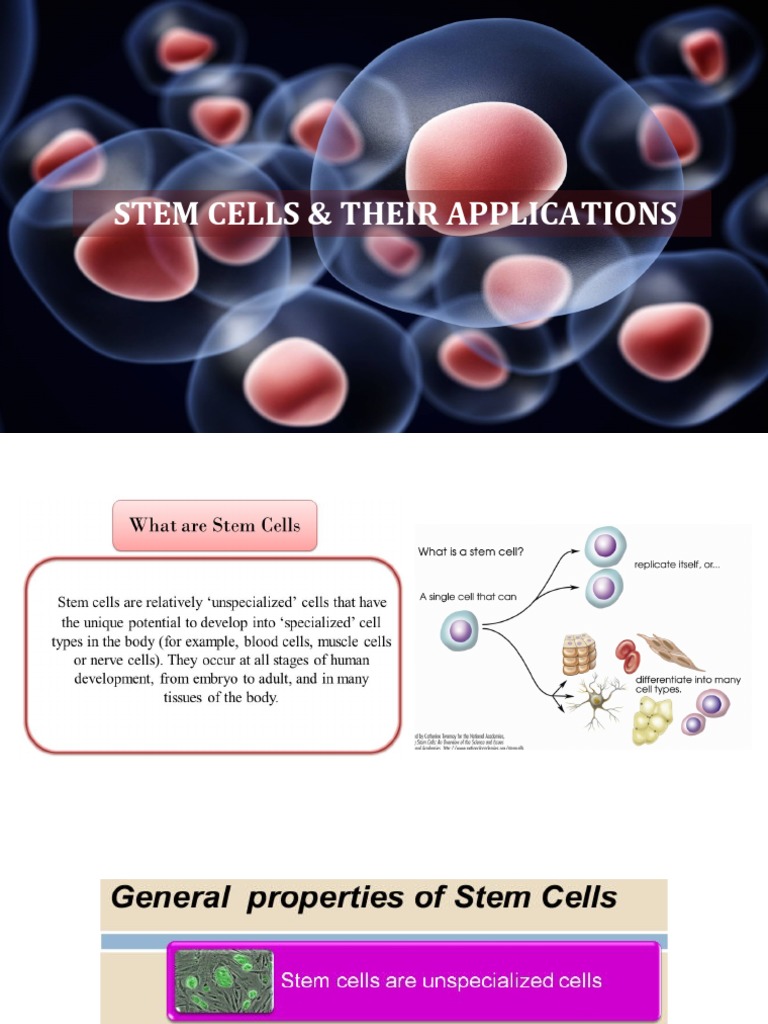 Stem Cells: Sources, Types & Applications | PDF
