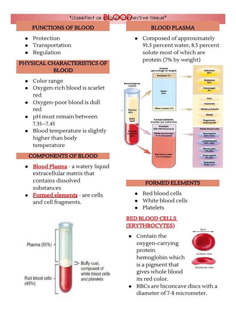 Blood Functions and Components | PDF | Blood Type | Coagulation