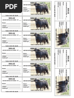 Modelo de Tickets de Sorteio | PDF | Casa e Jardim