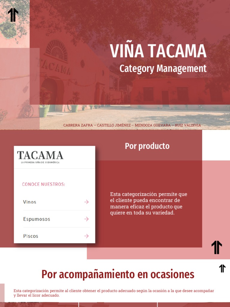 VIÑA TACAMA Category Management | PDF