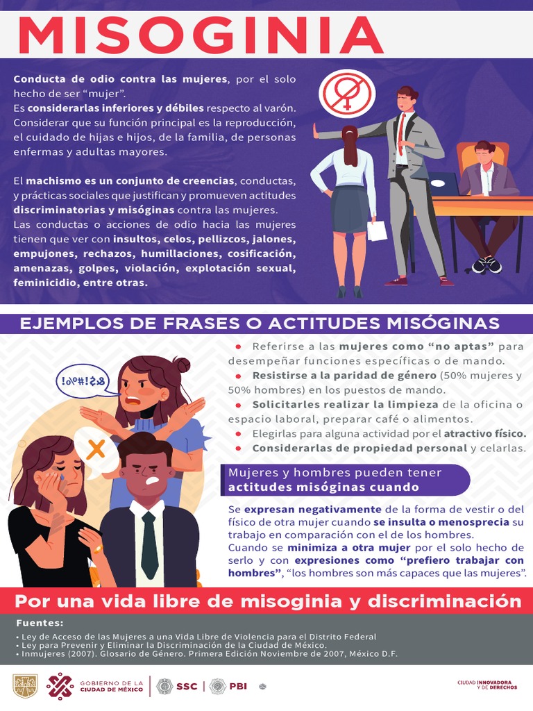 Infografia Misoginia | PDF