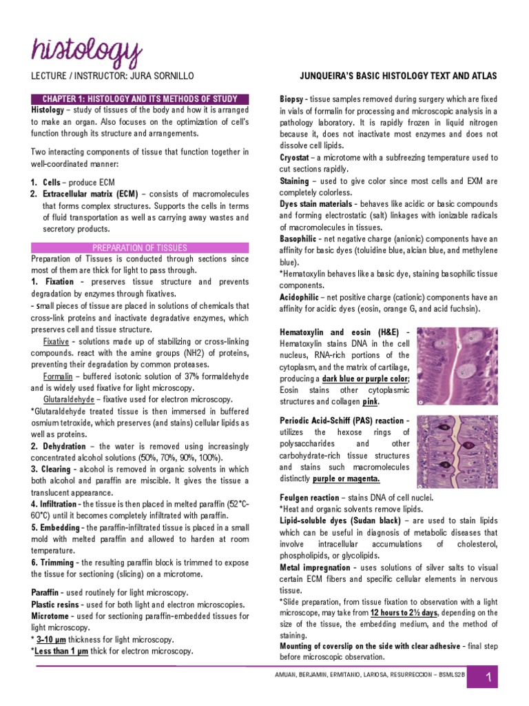 Histology Methods and Techniques Overview | PDF | Cell Membrane | Cell ...