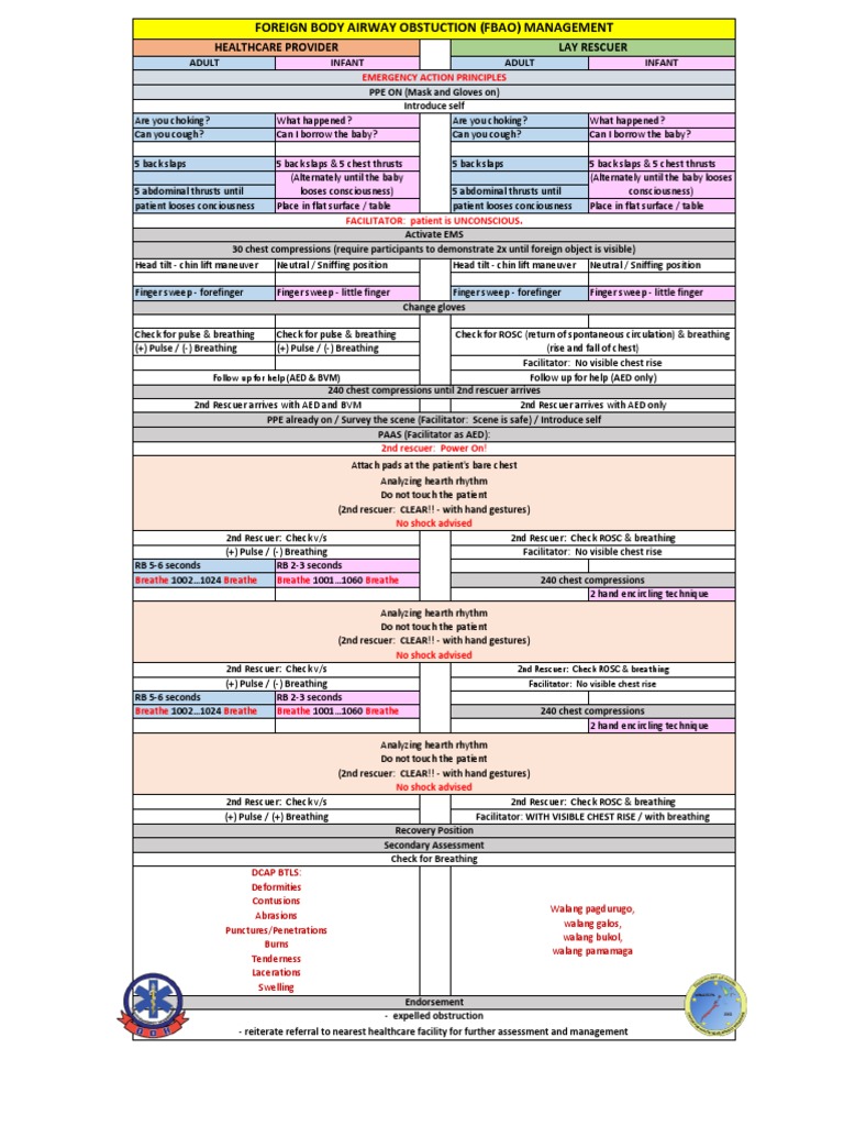 BLS-ALGORITHM-as-of-February-2023 | PDF | Cardiopulmonary Resuscitation ...