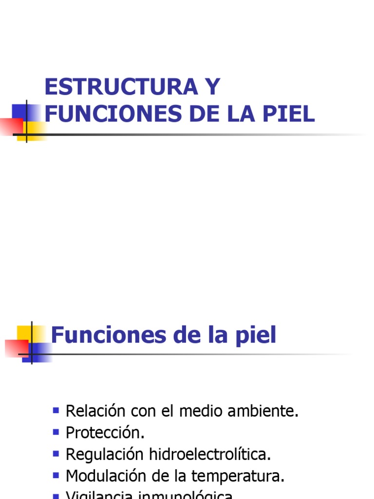 Estructura y Funciones de La Piel | PDF | Epidermis | Piel