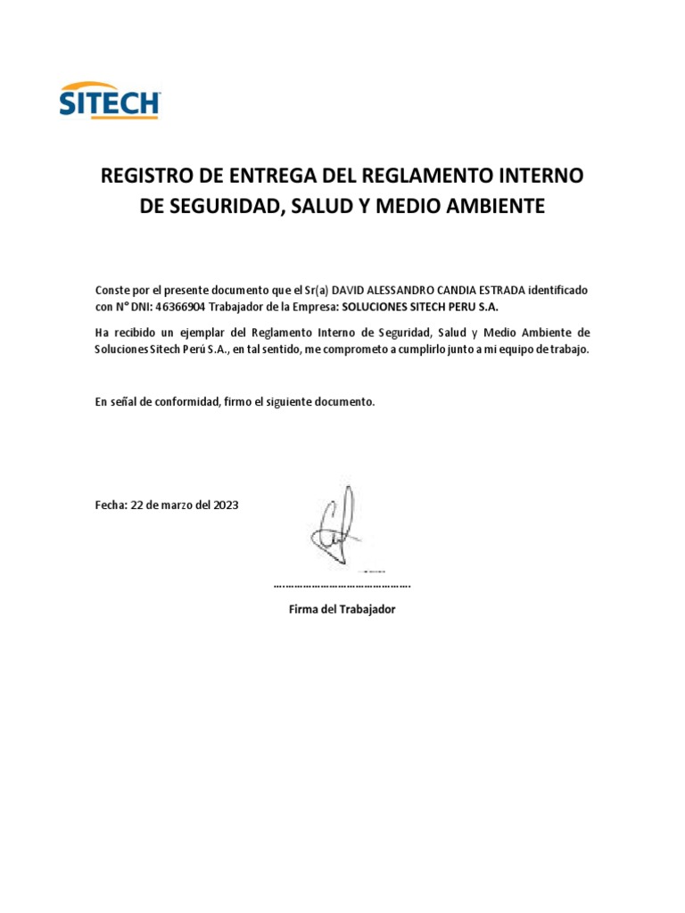 Formato - Registro de Difusión y Entrega de Risst-Cl | PDF