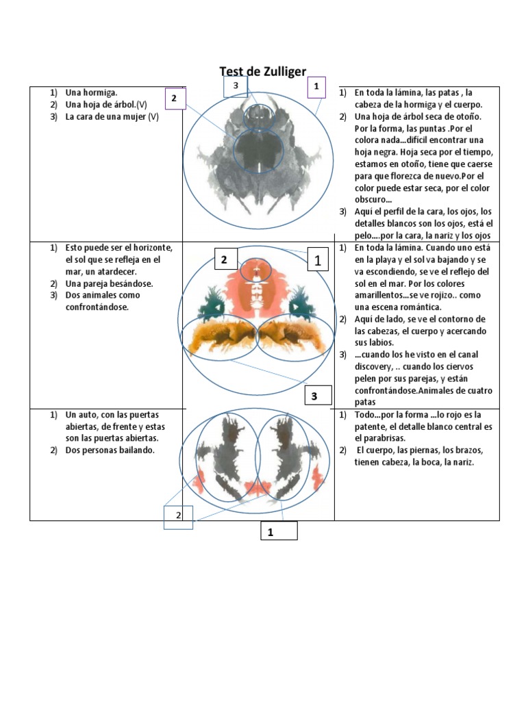 Caso Practico Segunda Clase Zulliger 2020 | PDF