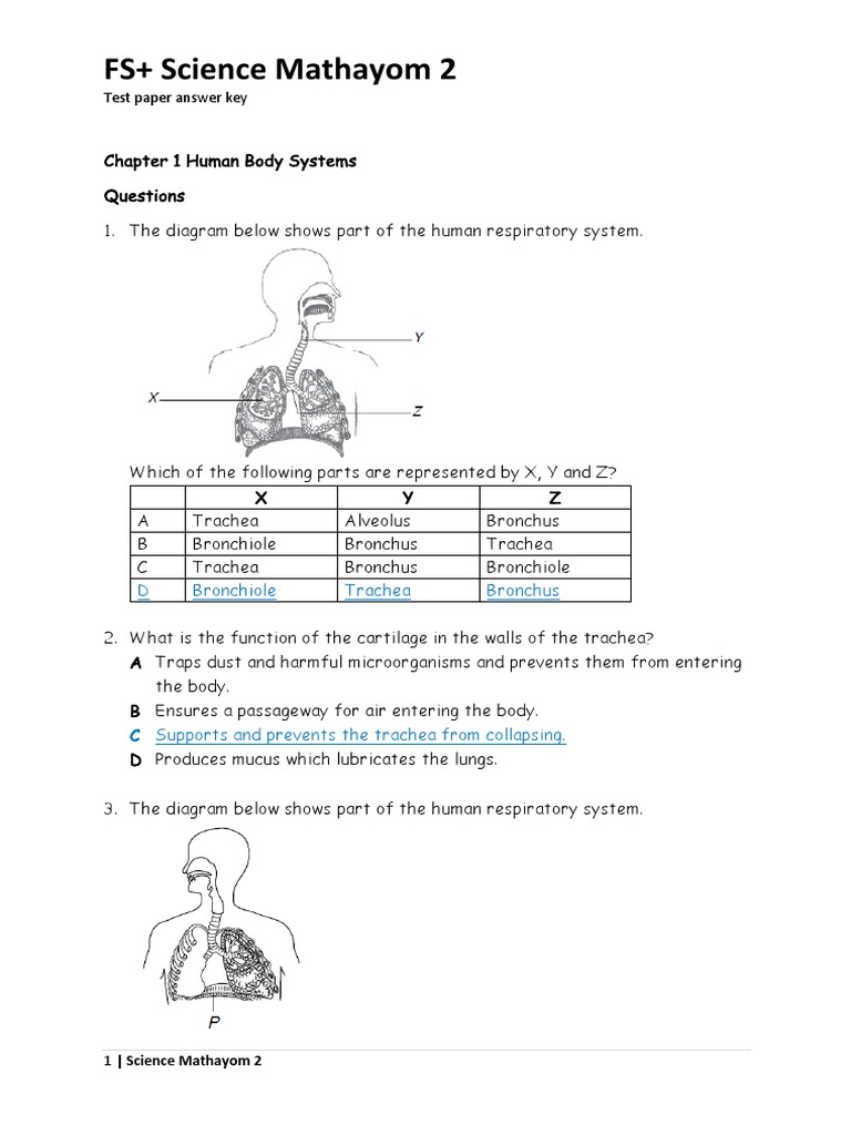 FS SC M2 Test Paper Key | PDF | Soil | Energy Development