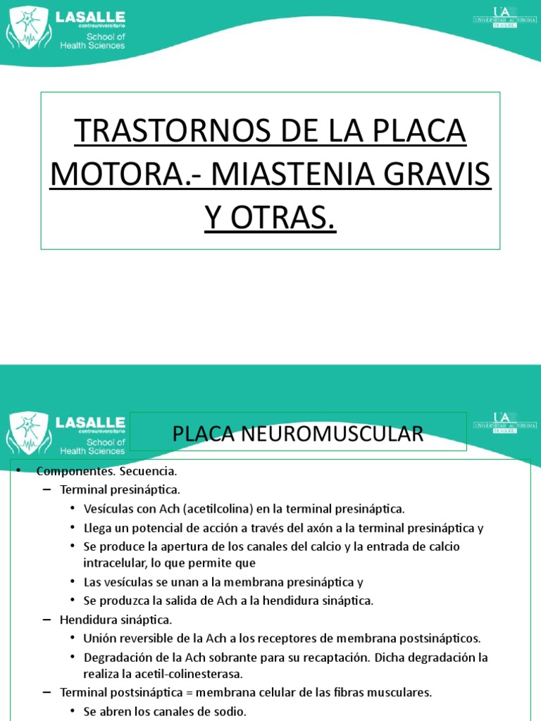 Trastornos de La Placa Motora. - Miastenia Gravis y Otras | PDF | Unión neuromuscular | Sinapsis