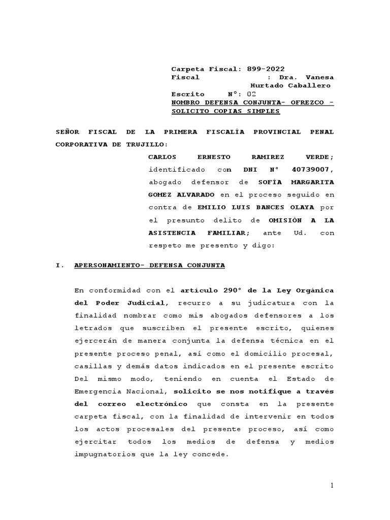 Defensa conjunta y solicitud de copias | PDF | Gobierno | Justicia