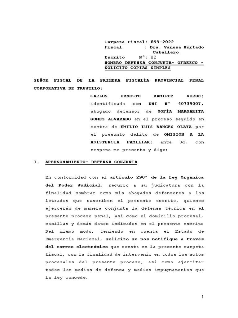 Esc.02 NOMBRO DEFENSA CONJUNTA - SOLICITO COPIAS SIMPLES | PDF ...
