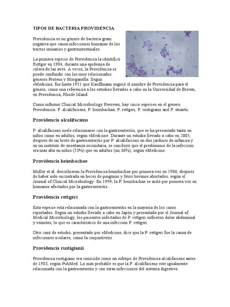 Tipos de Bacteria Providencia | PDF | Inmunología | Microbiología