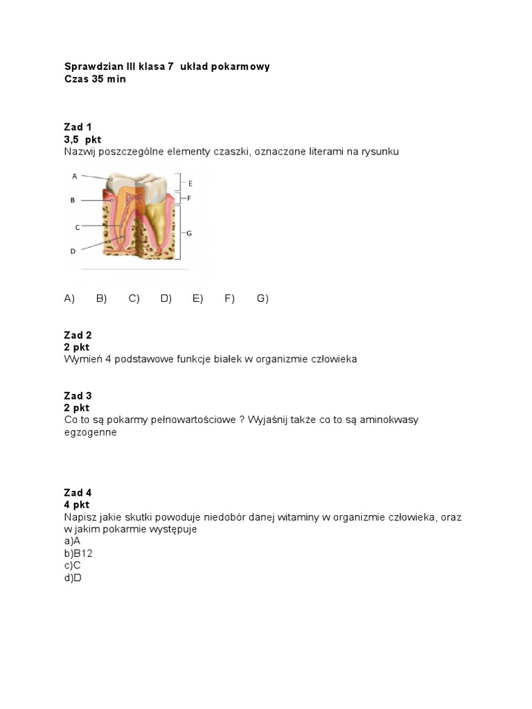 Sprawdzian III Klasa 7 Układ Pokarmowy | PDF