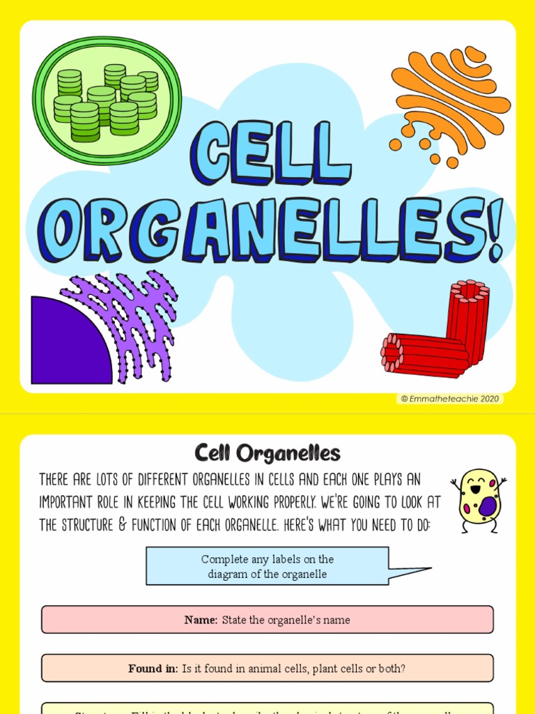 Student Slides - Fill in The Blanks | PDF | Endoplasmic Reticulum ...