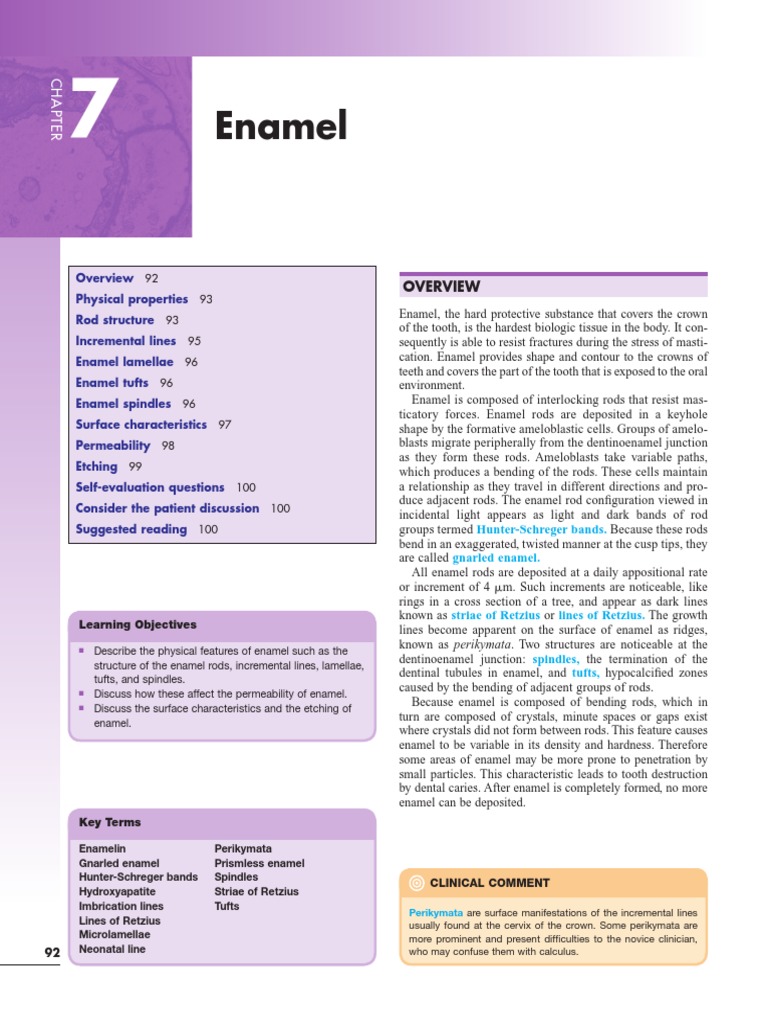 Enamel: Hunter-Schreger Bands. Gnarled Enamel | PDF | Tooth Enamel | Dentin
