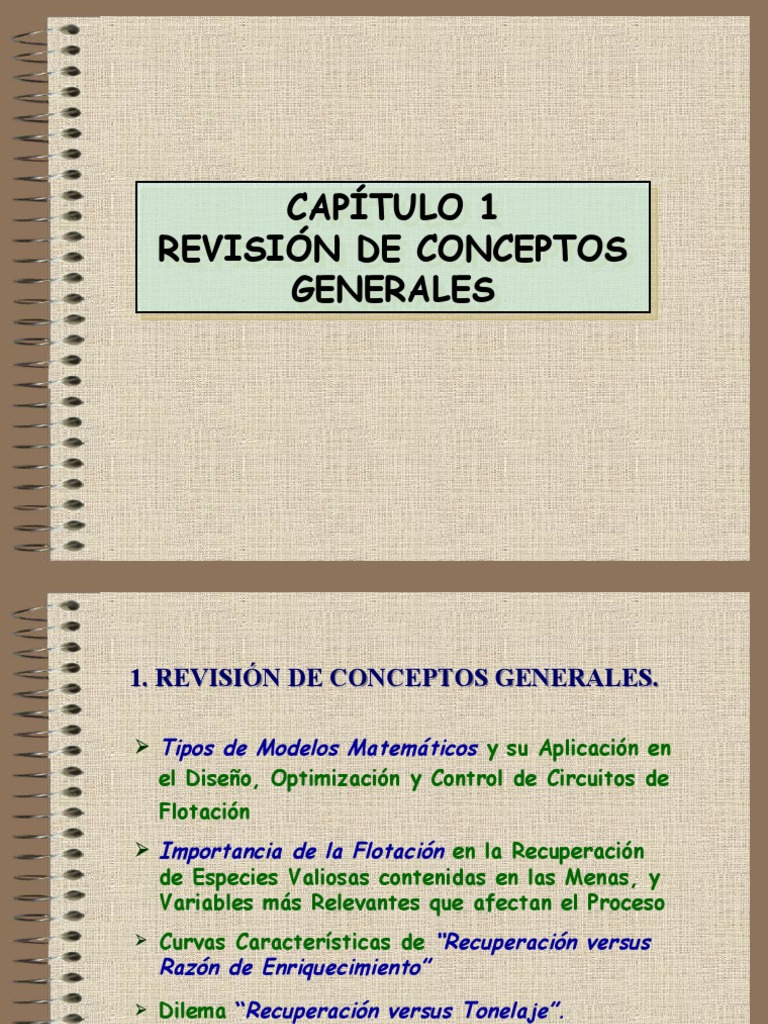 Cap 1 Revisión de Conceptos Generales | PDF | Minerales | Planificación