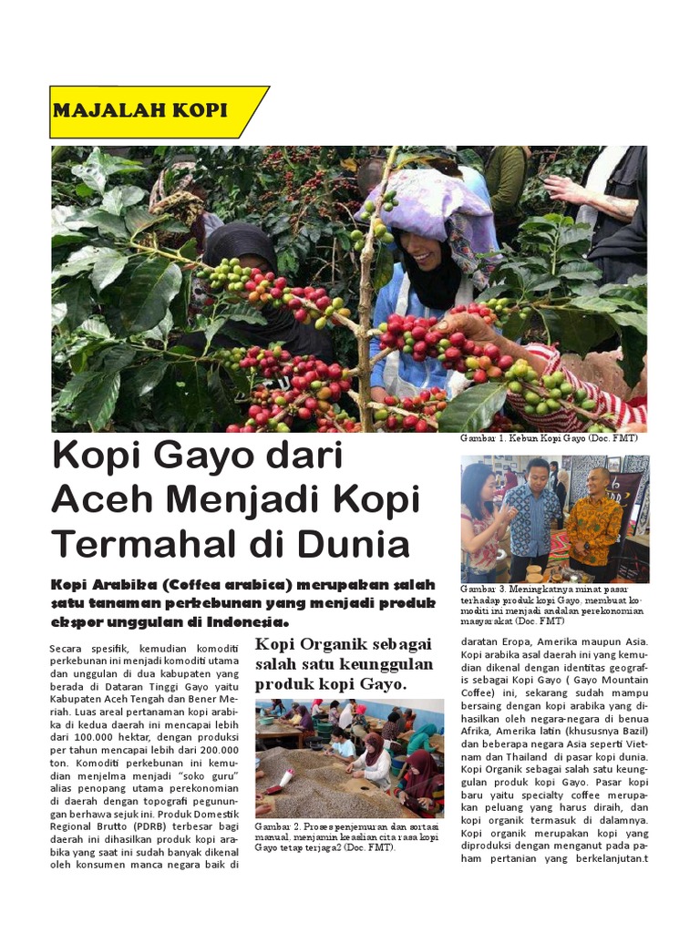 Majalah Kopi - Byranu | PDF