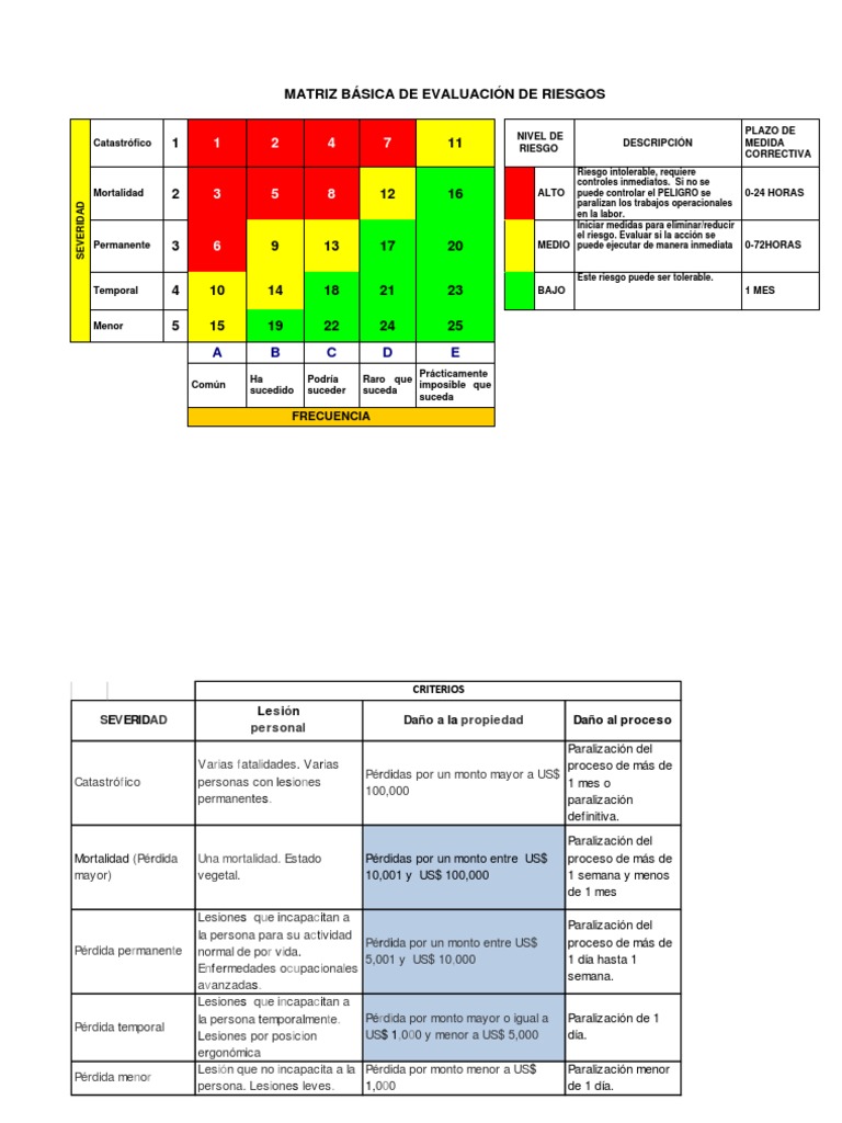 Matriz Básica de Evaluación de Riesgos | PDF | Medicina CLINICA | Especialidades Medicas