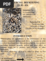 Beekeeping Training Manual | PDF | Honey Bee | Beehive