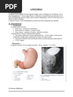 Anatomie des anses grêles et mésentère | PDF | Péritoine | Spécialités ...