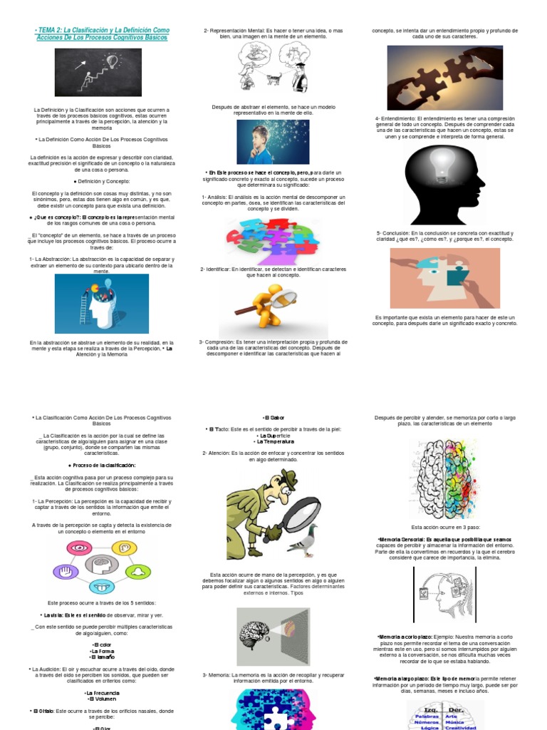 Triptico Final | PDF | Percepción | Memoria