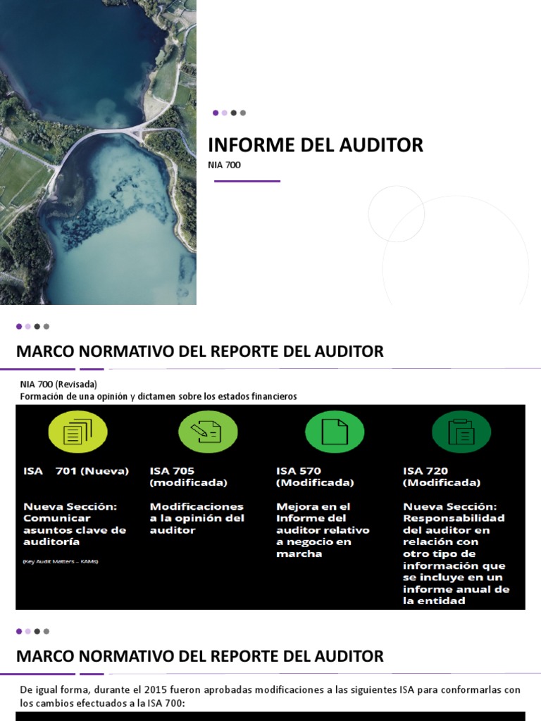 Informe Del Auditor | PDF