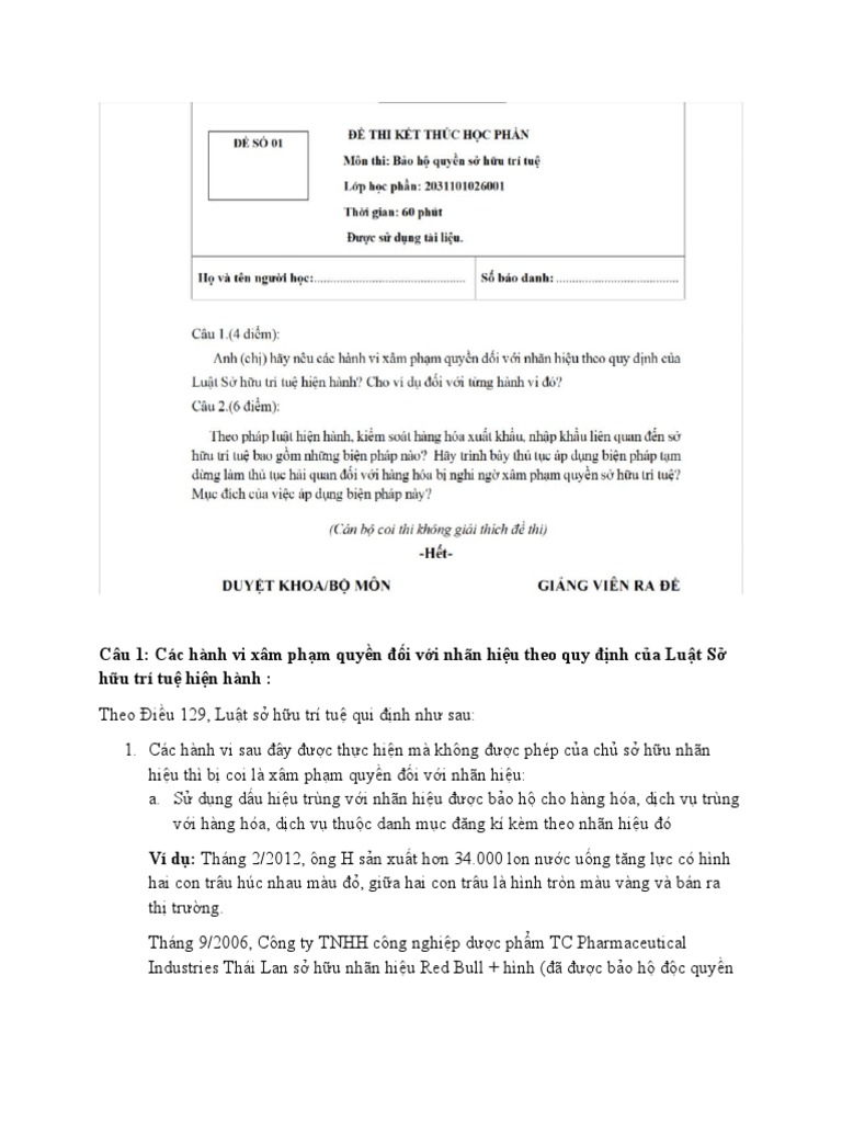 Bảo hộ quyền SHTT | PDF