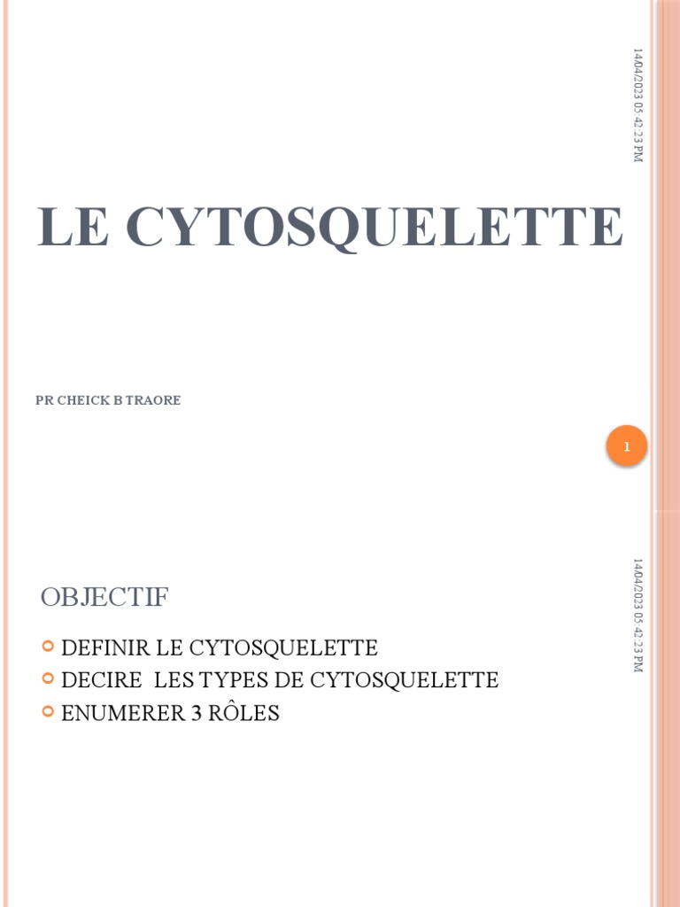 Le Cytosquelette | PDF | Microtubule | Cellule (Biologie)