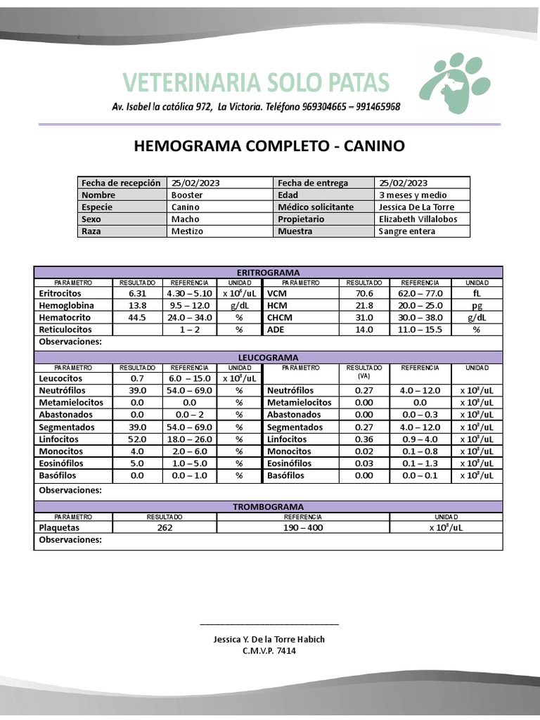 Hemograma Canino - Booster | PDF | Sangre | Histología