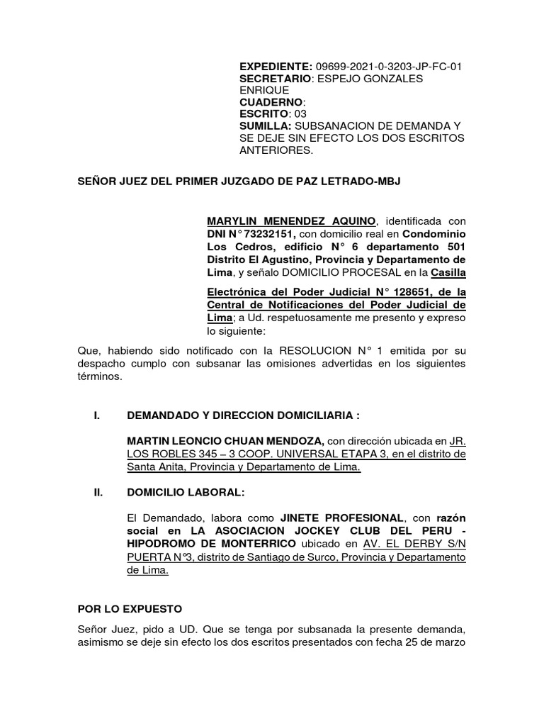 Subsanacion de Demanda | PDF | Justicia | Crimen y violencia