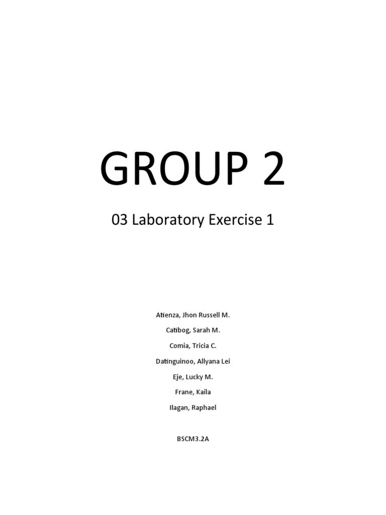 Group 2 Lab Exercise 1 | PDF