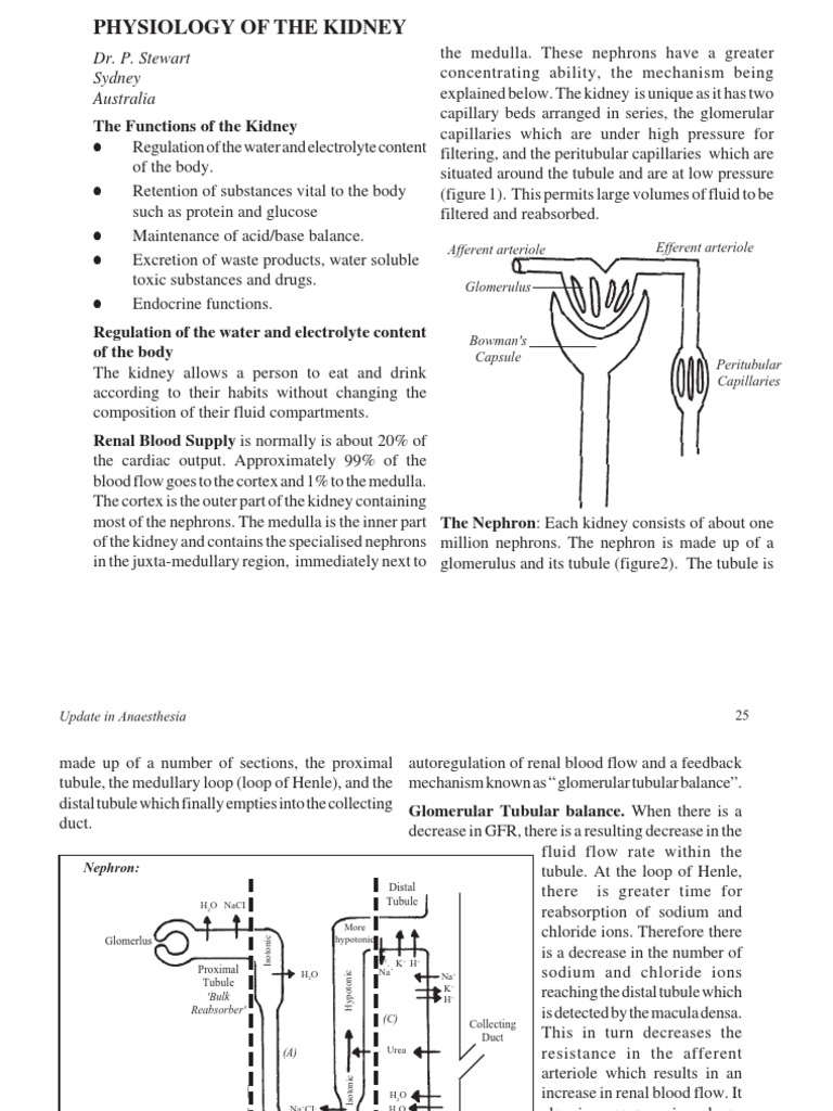 The Physiology and Functions of the Kidney: A Comprehensive Review of ...