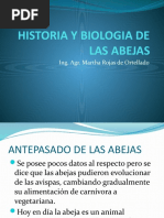 Eusocialidad en Insectos Sociales | PDF | Eusocialidad | Hormiga