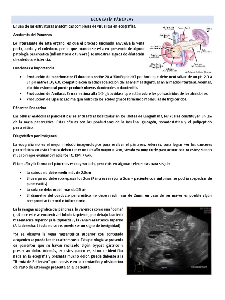 Comprensión integral de la ecografía del páncreas: anatomía, funciones ...