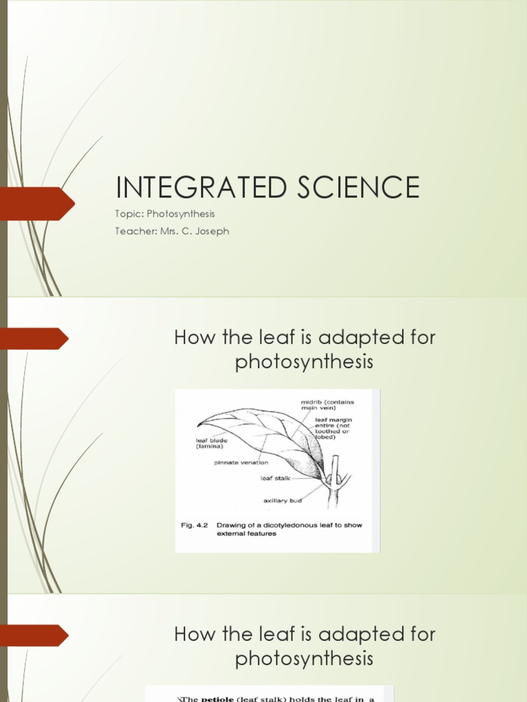 Integrated Science Notes | PDF