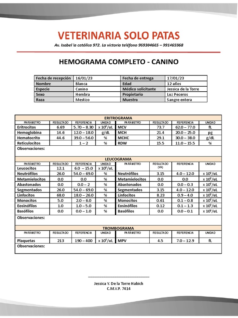 Hemograma Canino - Blanca | PDF | Hematología | Fluidos corporales