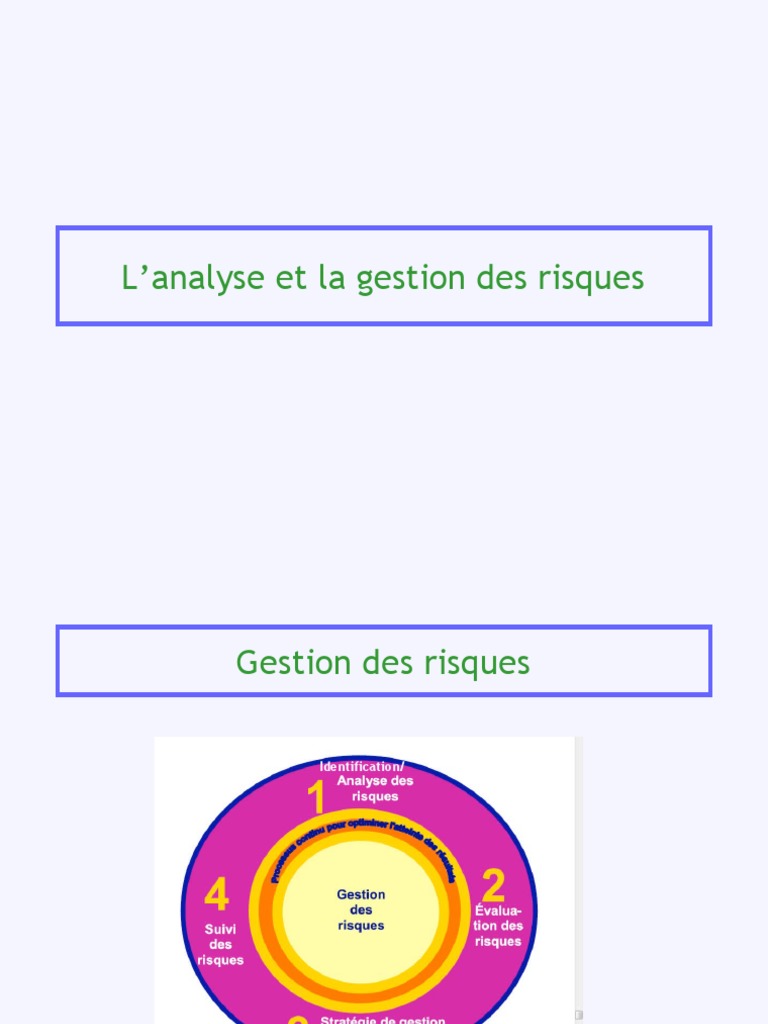 Analyse Des Risques | PDF | Risque | Gestion des risques
