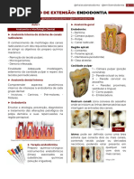 Mapas Mentais Odonto Gratuitos 2r | PDF | Odontologia | Cabeça e ...