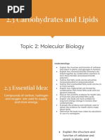 Biology IA Format and Structure (2025 Updated) - Clastify | PDF ...