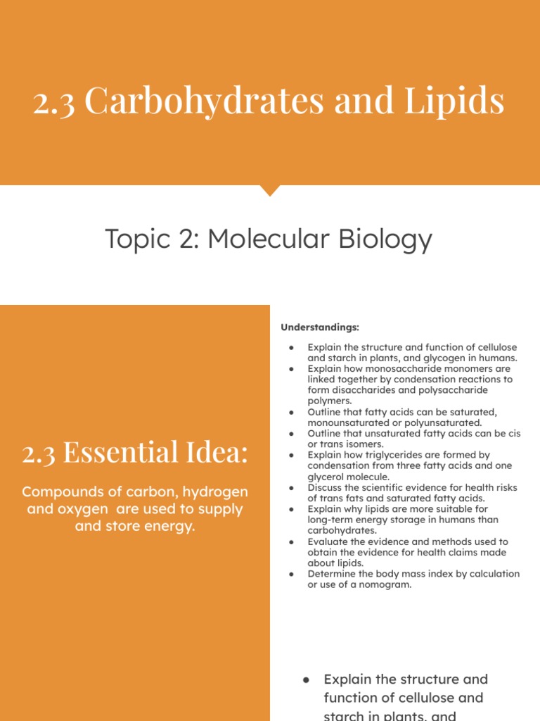 2.3 Carbohydrates and Lipids | PDF | Fat | Polysaccharide